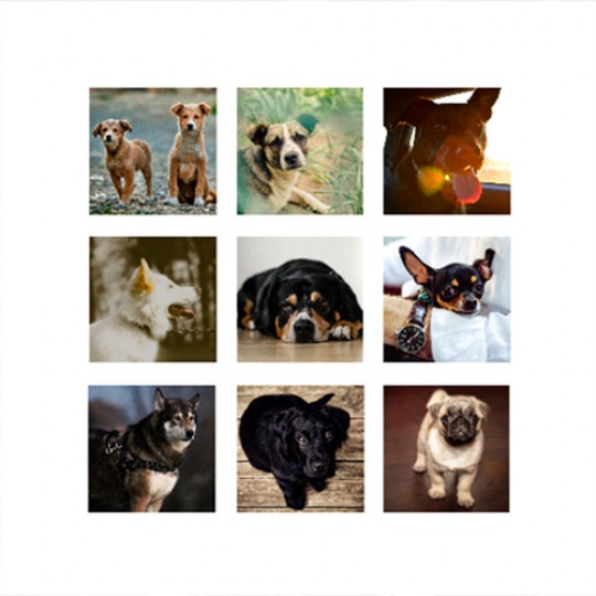 Collage Canvas Photo Prints From £9