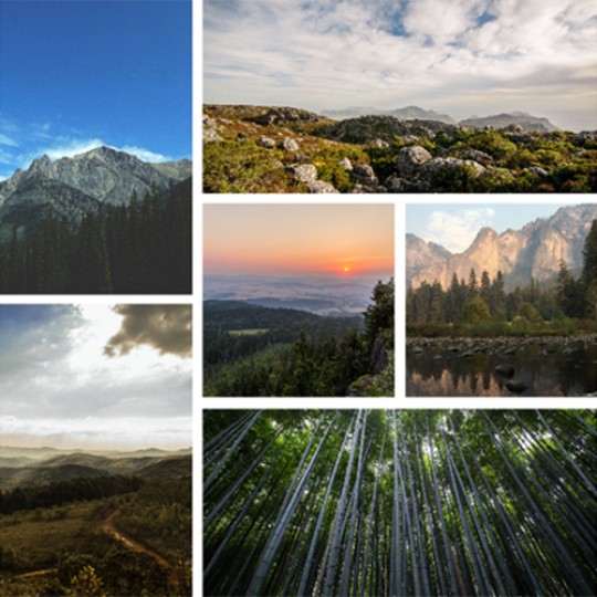 Collage Canvas Photo Prints From £9